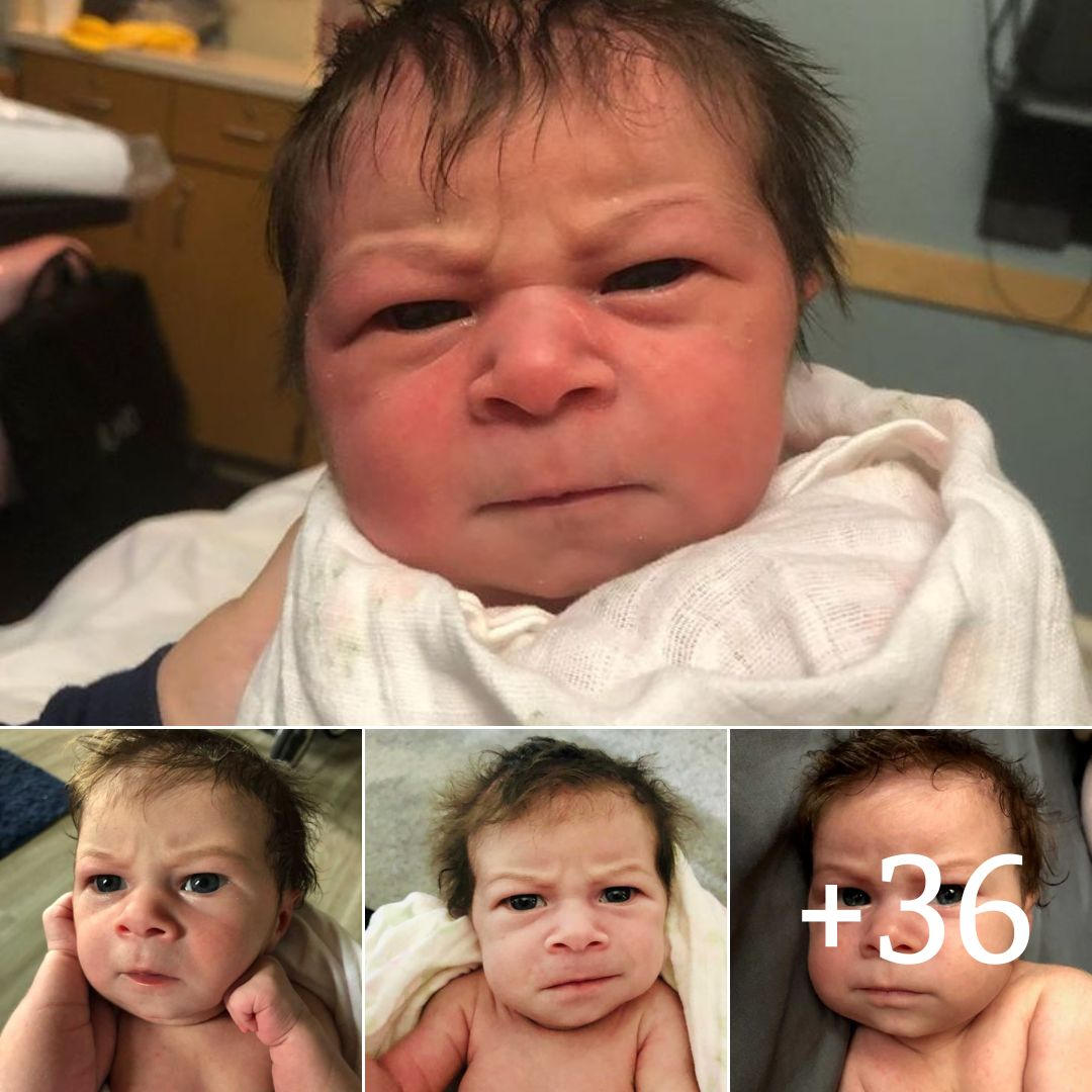 From an Angry-Faced Newborn to a Hilarious Toddler: The Transformation ...